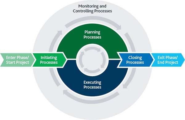 The Sponsor as the Face of Organizational Change