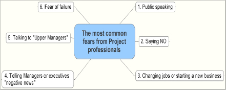 Project Manager's Attitude - Professional Maturation