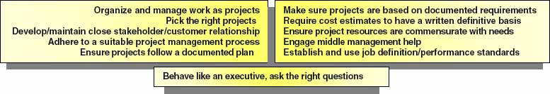 How executives can act for project success