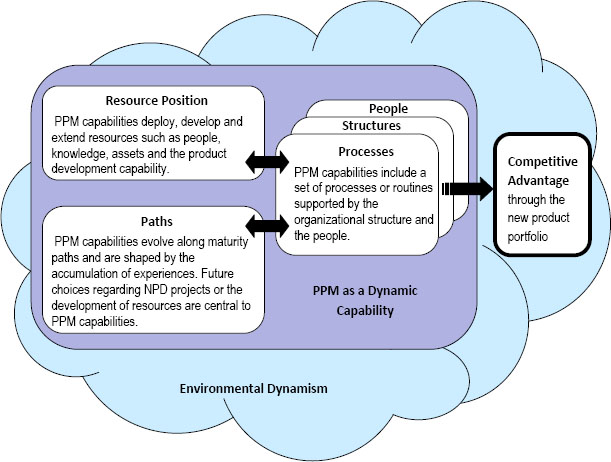 Relationship between ppm capability and competitive advantage