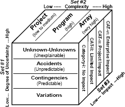 Managing risks in complex projects