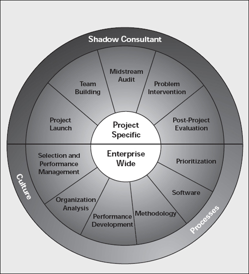 Consultative Role Project Manager | PMI