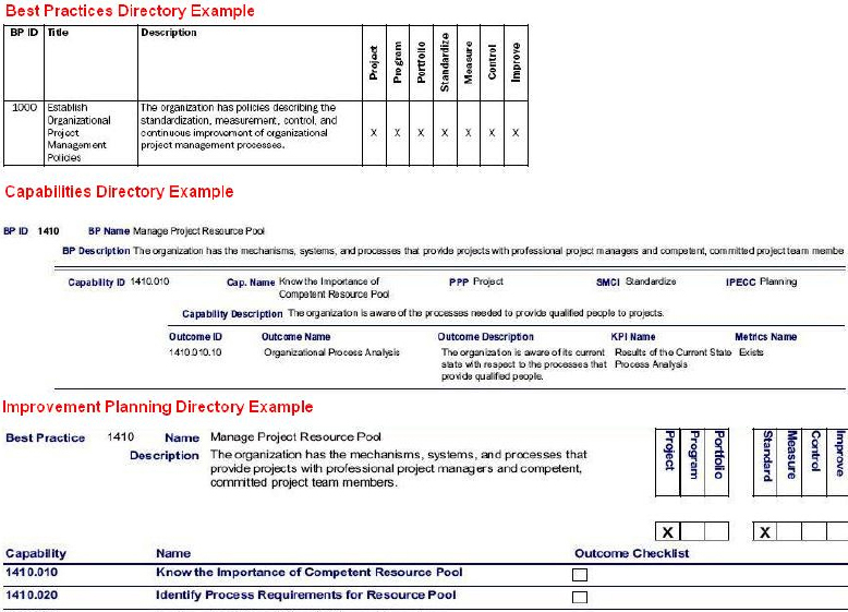 Grow up already!--An OPM3® primer