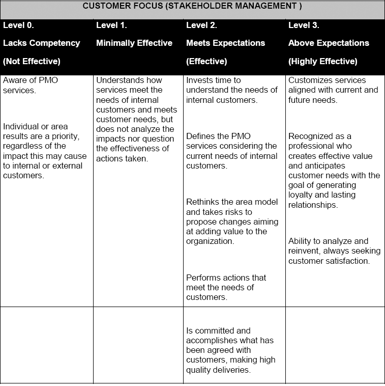 Project Management Competencies How to Define Assess and Plan