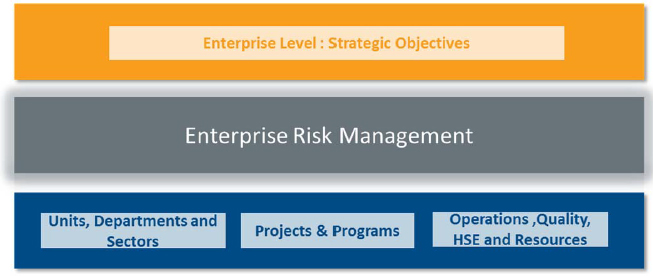 Enterprise risk management application implementation case study