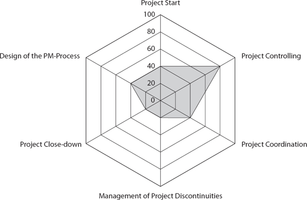 Assessment competences project oriented companies maturity model