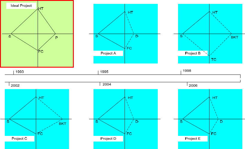 Project Type Profiling Based on the Ideal Company Project