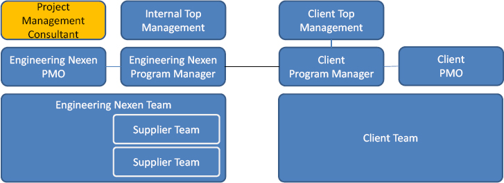 Consultants Project Management Role Differences | PMI