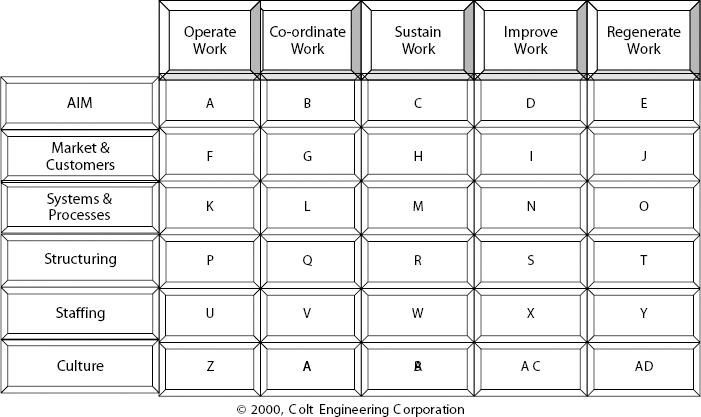 The mastery of alliancing in a project environment