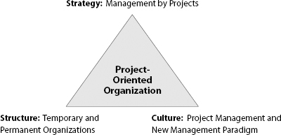 Program management and project portfolio management