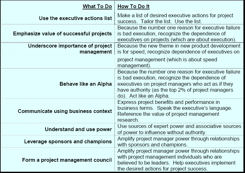 How to get executives to act for project success