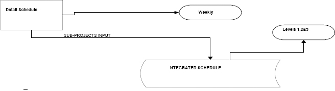 Developing project management solutions within cultures