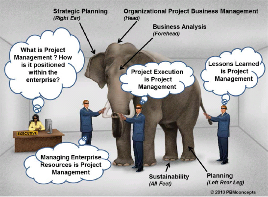 The elephant in the executive suite