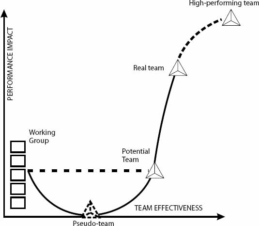 Building highly effective information systems project teams