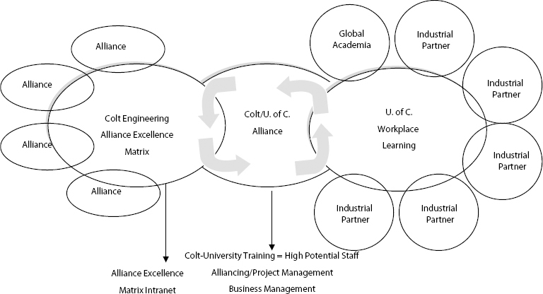 The mastery of alliancing in a project environment
