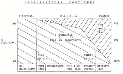 Alternatives for project management -techniques and strategies