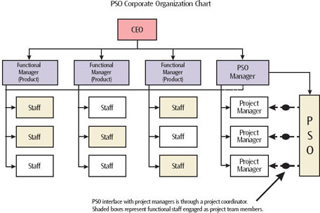 PSO - Enterprise-Wide Modern PM Integration | PMI