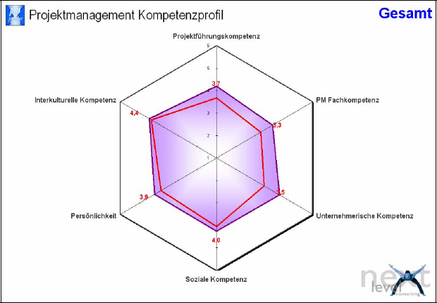 PM-Profiler - Evaluation of Competence Profiles | PMI