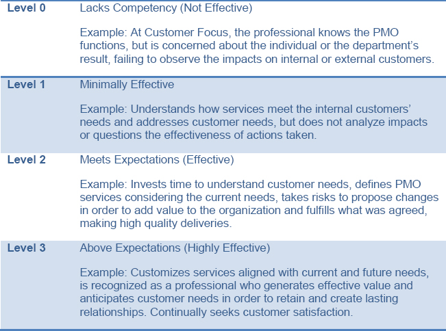 Project Management Competencies How to Define Assess and Plan