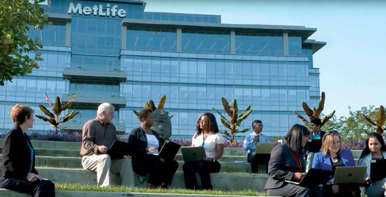 Metlife PMO Helps IT Portfolio Deliver Clear Benefits | PMI