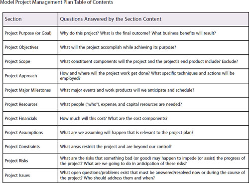 Information systems project planning