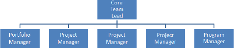 Executing a project management community in a low-maturity environment