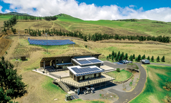 Bringing Net-Zero Buildings into Mainstream | PMI