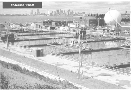 Project management in action - boston harbor - project overview