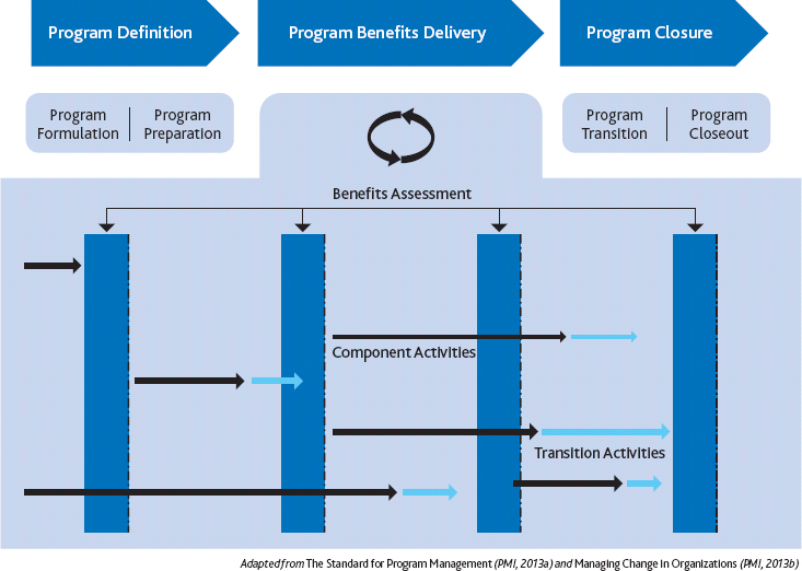 Organizational Project Management (OPM) Improvement Program Management