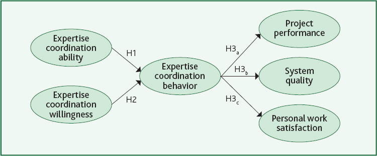 Coordination in Information Systems Development Problems