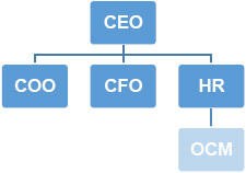 A framework for strategy execution integrating the PMO and OCM
