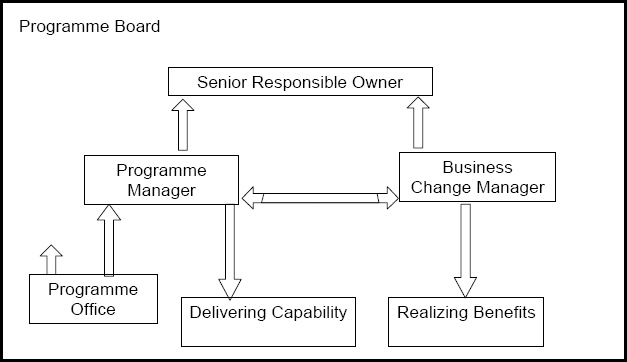 Business change management using program management