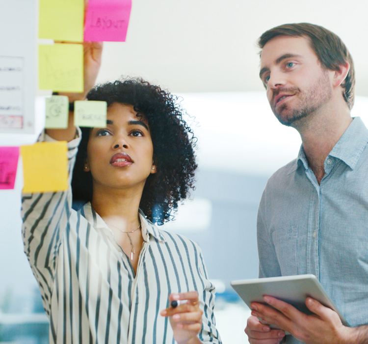 Training Manual for Managing Complexities and Ambiguities in Projects | PMI