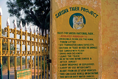 Project Tiger | PMI