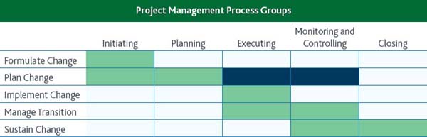 The Sponsor as the Face of Organizational Change