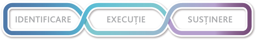 Generarea valorii | PMI