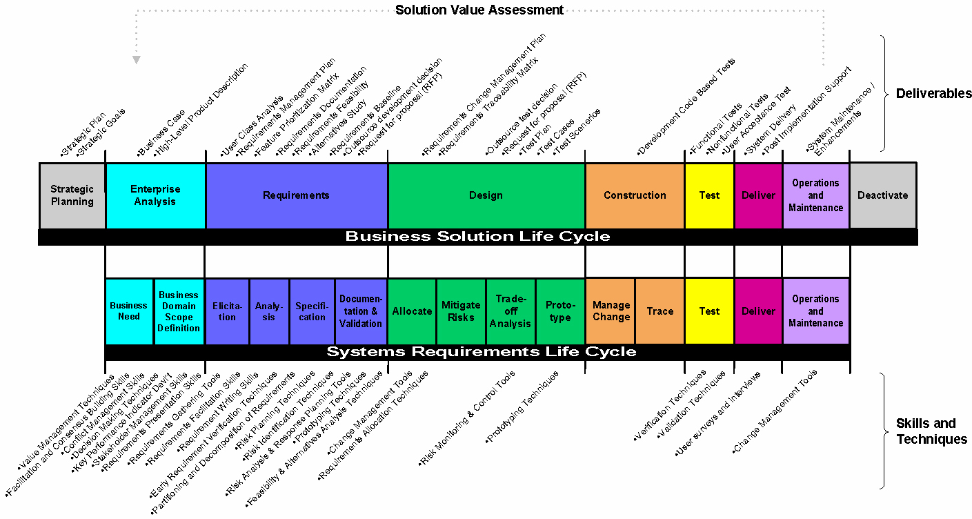 The Business Analyst