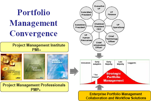 Strategic portfolio management
