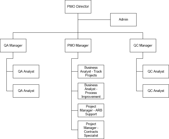 Program Management Offices In The Public Sector