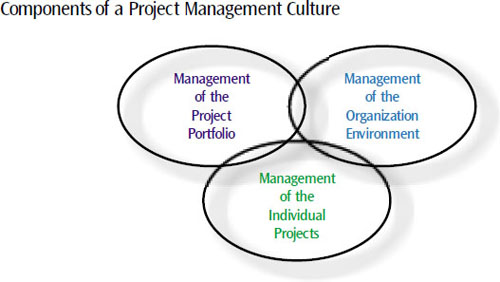 Project Management Culture | PMI