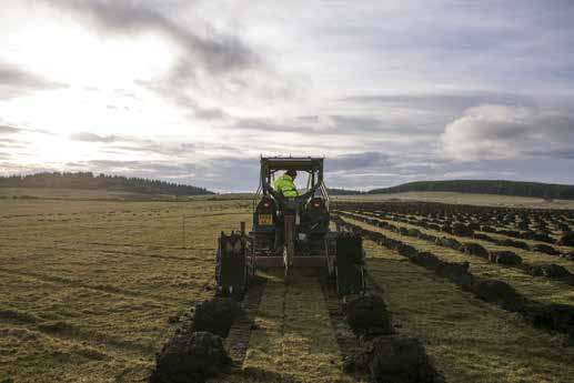 Forest Gumption | PMI