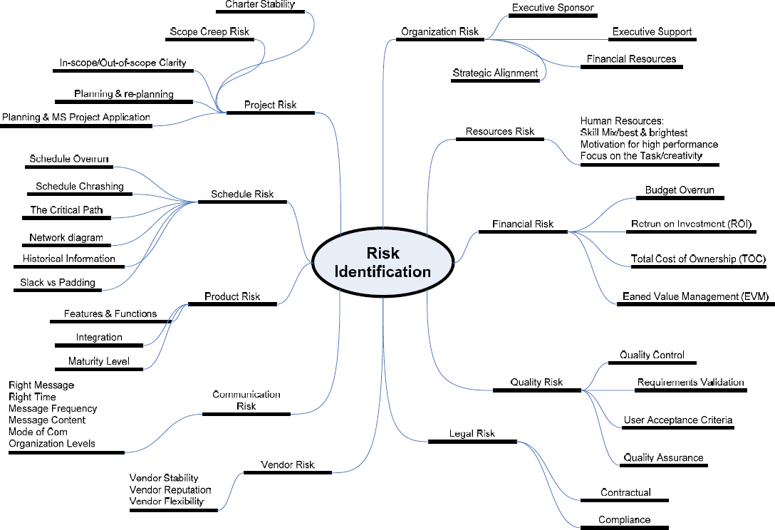 Risk Management in HIT Projects | PMI