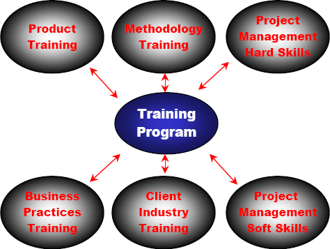 Consultative - project management skills - information technology