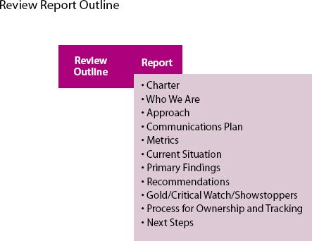basic principles of Project management in project reviews