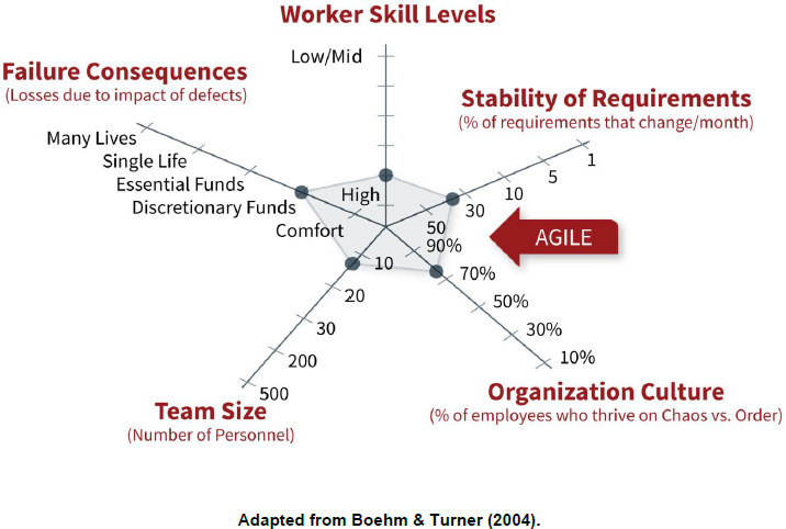 Leadership principles for mastering agility in a disciplined environment