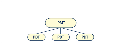 institutionalizing project management in IBM's development community