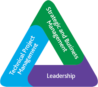 Key Competencies for Success in Navigating Complexity | PMI