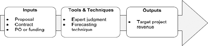 A case for project revenue management