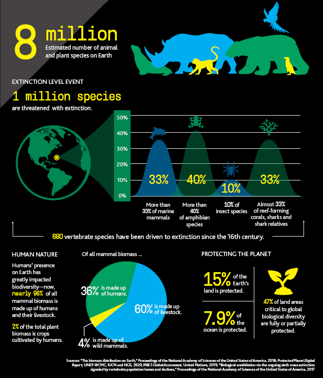 Bolstering Biodiversity | PMI