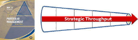 Employing The standard for portfolio management to expand strategic ...